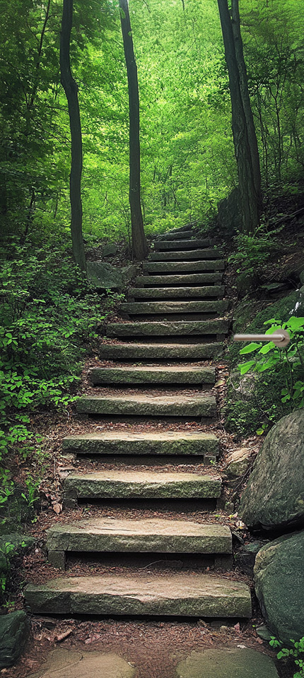 Deursticker / poster stenen trap in het bos Deurstickers op Maat